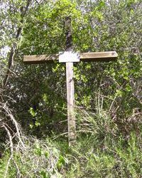 National Catholic Register Remembers Angela Baird (’00), Servant of ...
